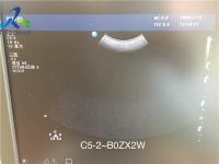 China C5-2 Ultrasound Transducer/Broadband Curved Array/Abdominal Scanner for sale