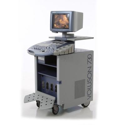 China Hospital Scanning Medical Ultrasound System Ge Voluson 730 Expert for sale