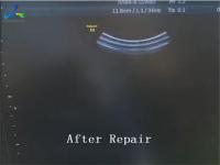 China Repair GE RAB4 8 D For Oil Leaking for sale