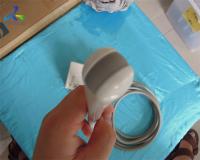 China 9Mhz Urology Endocavity Ultrasound Scanner Probe Siemens EC9-4 for sale