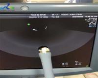 China 4D Ultrasound Probe Repair Dome Oil And Sealing GE RIC6-12-D Array Replacement for sale