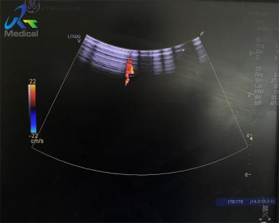 China GE 4C-RS Ultrasound Probe Repair For Array Strain Relief Housing Replacement Crystal Damage for sale