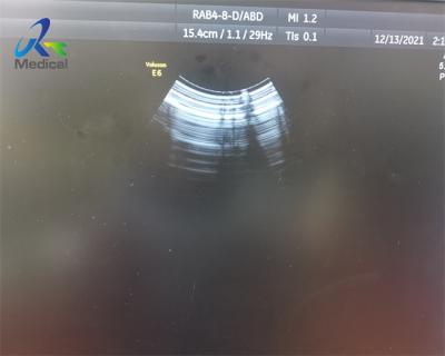 China GE 3D 4D Probe Oil Leakage Repair Service Repair Oil-Leaking Rab4-8-D Ultrasonic Sensor​ for sale