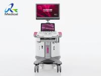 China Cow Scanner Ultrasound Machine Repair Siemens S1000 Cardiac Transducer Maintenance for sale