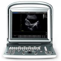 China 12''LED Color Dopper System Chison ECO5 Chison Veterinary Ultrasound for sale