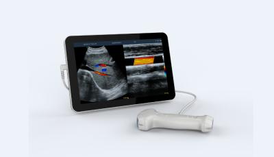 China 5V Dual Head Portable Handheld Ultrasound Scanner High Frequency for sale