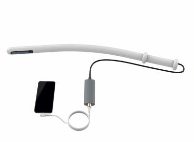 China 8MHz Veterinary Portable Vet Ultrasound For Equine Bovine for sale