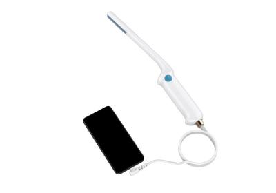 China Endocavitary Probe Universal Vet Ultrasound Machine 80 Element for sale