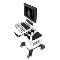 China Color Doppler Ultrasound Scanner Chison Qbit 5 With 15 Inch LED for sale