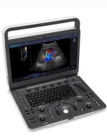 China 15.6inch LED Sonoscape E1 Exp Ultrasound Machine BW Ultrasound for sale