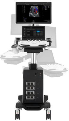 China 5D Trolley Sonoscape Echo Machine P11 Elite With 4 Transducer Connectors for sale