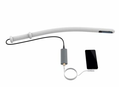 China Veterinary Ultrasound System Bovine Ultrasound Machine 4.0MHz 6.0MHz 8.0MHz for sale
