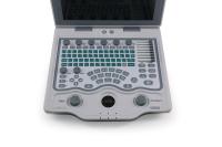 China 10.4'' LED Display Veterinary Ultrasound Portable Ultrasound Machine For Swine 4.5KG for sale