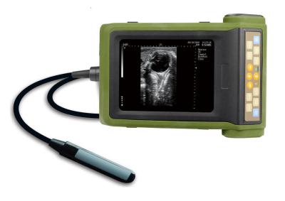 China Portable Livestock Ultrasound Machine for Pregnancy Diagnosis and Follicular Aspiration for sale