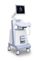 China Entry Level Trolley Color Doppler Ultrasound Ultrasonic Diagnostic Instrument 500GB for sale
