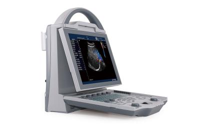 China Portable Color Doppler Ultrasound Machine for Pregnancy | Entry-Level Laptop Ultrasound System DCU12 for sale