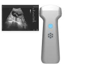 China Electronic Convex Array Convex Wireless Ultrasound Probe 2MHz 3.6MHz 5MHz for sale
