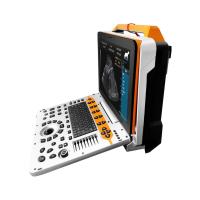 China 15 Inch Multiple Beam Synthesis Veterinary Ultrasound Machine For Small Animals for sale