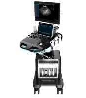 China Ergonomic Console 64 Channel Portable Veterinary Ultrasound Machine For Animals for sale