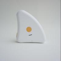 China Portable Ultrasound Body Fat Scanner 5MHz Muscle & Fat Analyzer with Bluetooth App for sale