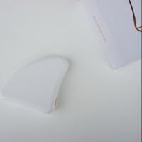 China Portable Ultrasound Body Fat Scanner 5MHz Muscle & Fat Analyzer with Bluetooth App for sale