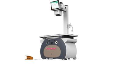 China Veterinary Digital Radiography System Medical X Ray Systems 8KW Max Power for sale