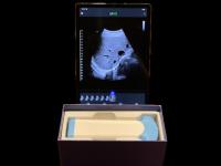 China Efficient Handheld Ultrasound Probe For Critical Care Application for sale