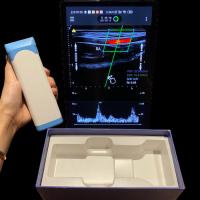 China CE Marked Portable Handheld Ultrasound Scanner For Vascular Access for sale