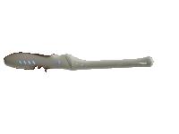 China Portable Wireless Transvaginal Ultrasound Probe for OB/GYN and Fertility Clinics for sale