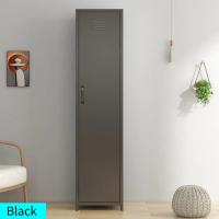 China Modern Double Color Steel Closet Locker H1700mm Cold Roll Steel Wardrobe for sale