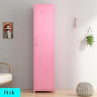 China Modern Double Color Steel Closet Locker H1700mm Cold Roll Steel Wardrobe for sale