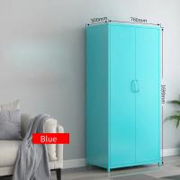 China Two Door Bedroom Home Use Metal Locker Cabinet Modern for sale