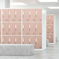 China 9 Door Metal Locker Wardrobe 1850x900x450mm for Gym School Changing Room for sale