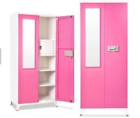 China 195cm Height ISO14001 Metal Clothing Cabinet 2 Doors Steel Locker Wardrobe 0.6mm for sale