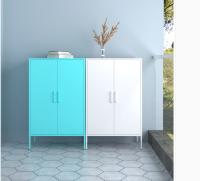 China Flat Packing ISO9001 0.054 CBM Metal Storage Locker for sale