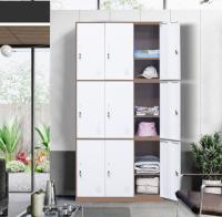 China Heavy Duty Steel Locker 5mm Thin Frame 53kg 4 6 9 Doors Customizable for sale