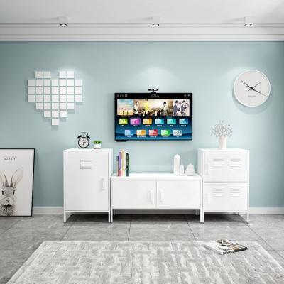 China Modern Metal TV Stand Living Room Cabinet Cold Rolled Steel 0.5-1.2mm KD for sale