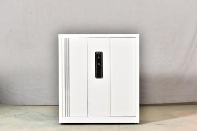 China 6mm Thick Steel Filing Cabinet Metal Safe Cabinet with Fingerprint Lock 6 Point Locking for sale