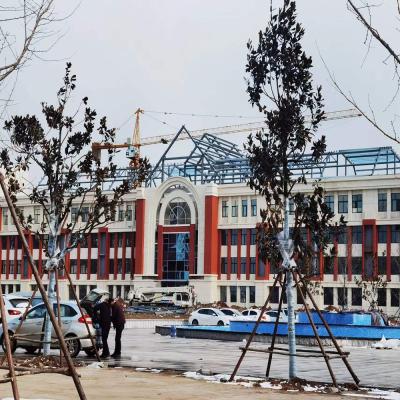 China Prefabricated Steel Q355B Commercial Building for Supermarkets for sale