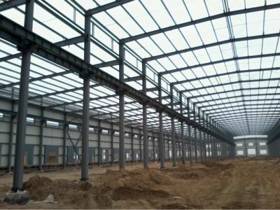 China Custom Steel Structure Shed with Sandwich Panel Roof and Wall for sale