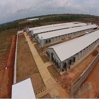 China Modern Long Span Steel Structure Poultry House Easy to Clean Steel Frame Poultry Building for Farm Use for sale