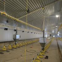 China Modern Long Span Steel Structure Poultry House Easy to Clean Steel Frame Poultry Building for Farm Use for sale