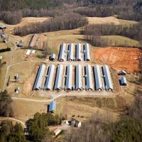 China Modern Long Span Steel Structure Poultry House Easy to Clean Steel Frame Poultry Building for Farm Use for sale