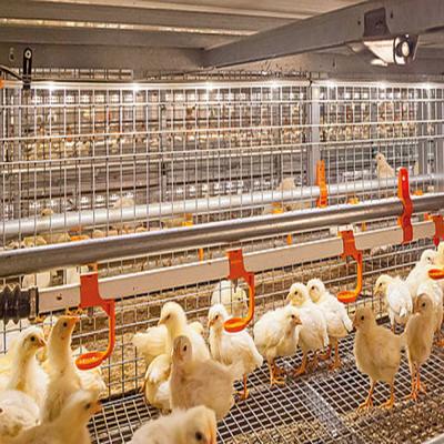 China Galvanized Steel Poultry House with Gable Roof and Bolts Connection for sale