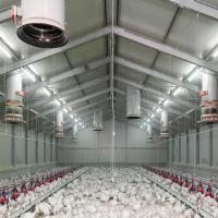 China Fireproof Steel Poultry House with Automated Ventilation System for sale