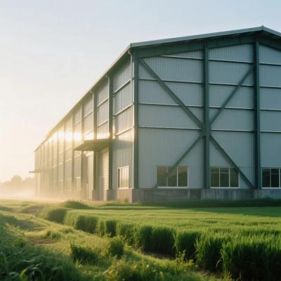 China Pre-engineered Steel Warehouse with Q355B Frame 400-1500mm Span for sale