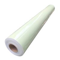 China Removable Glow In The Dark Vinyl Roll For Emergency Exit Warning for sale