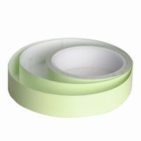 China Waterproof Glow In The Dark Tape Luminous Photoluminescent film for Safety Egress for sale