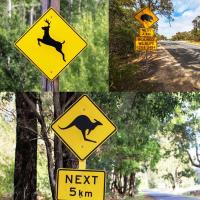 China Custom Australian Animal Deer Camel Kangaroo Crossing Reflective Caution Sign Board for sale