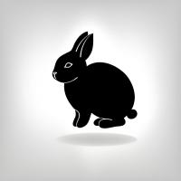 China Rabbit Rapid  Aqueous Adjuvant for sale